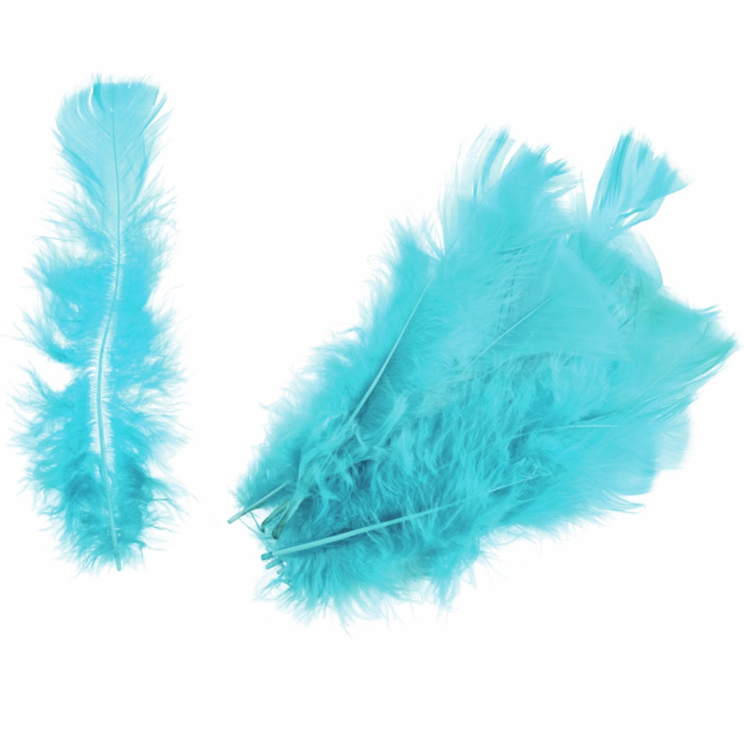 Feathers - Turkey - Packs - Duttons for Buttons